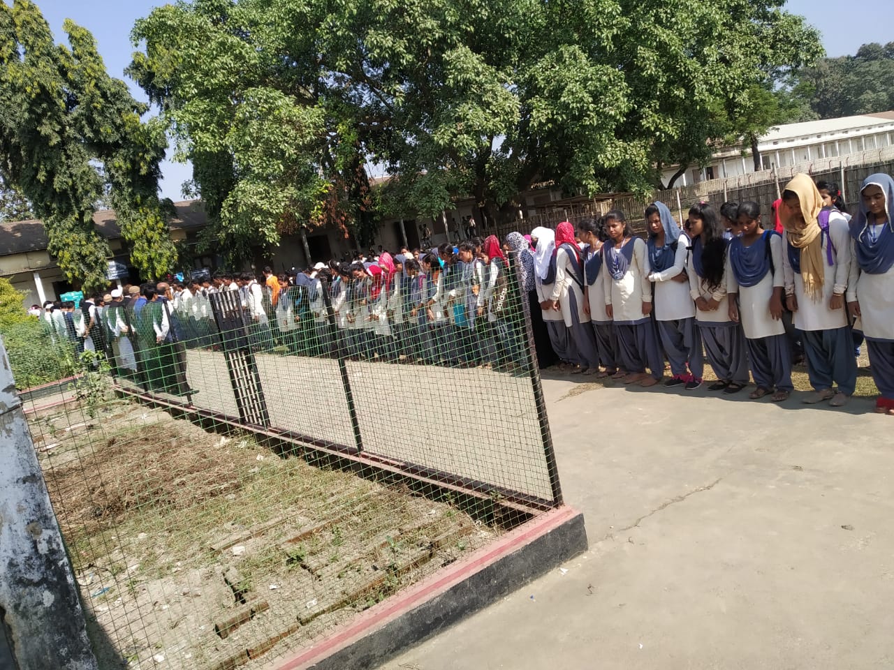 Hatsingimari College